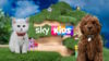 Sky Kids for Stream & Glass: Inclusive Channels & Is It Worth It?