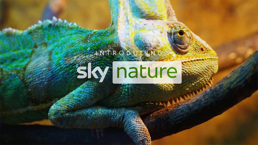 Ultra HD & Dolby Atmos on Sky Stream & Glass: What's In 4K?